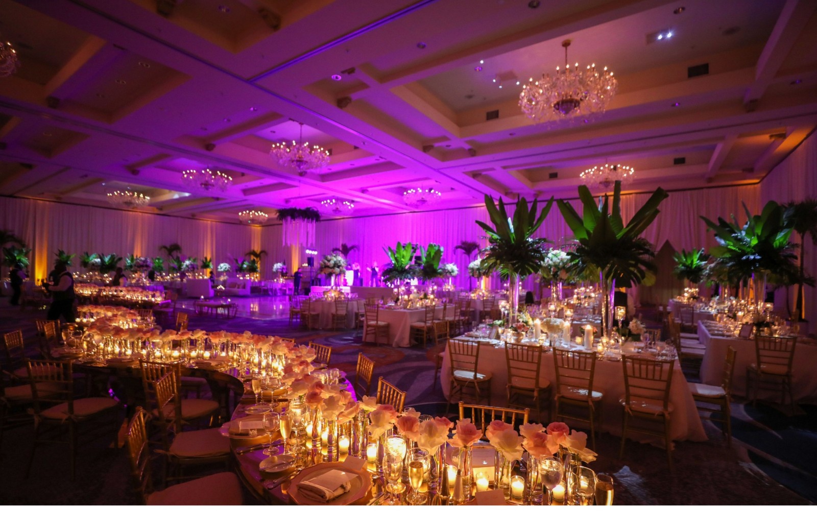 BOCA BY DESIGN IS THE PREMIERE WEDDING FLORIST IN SOUTH FLORIDA ...