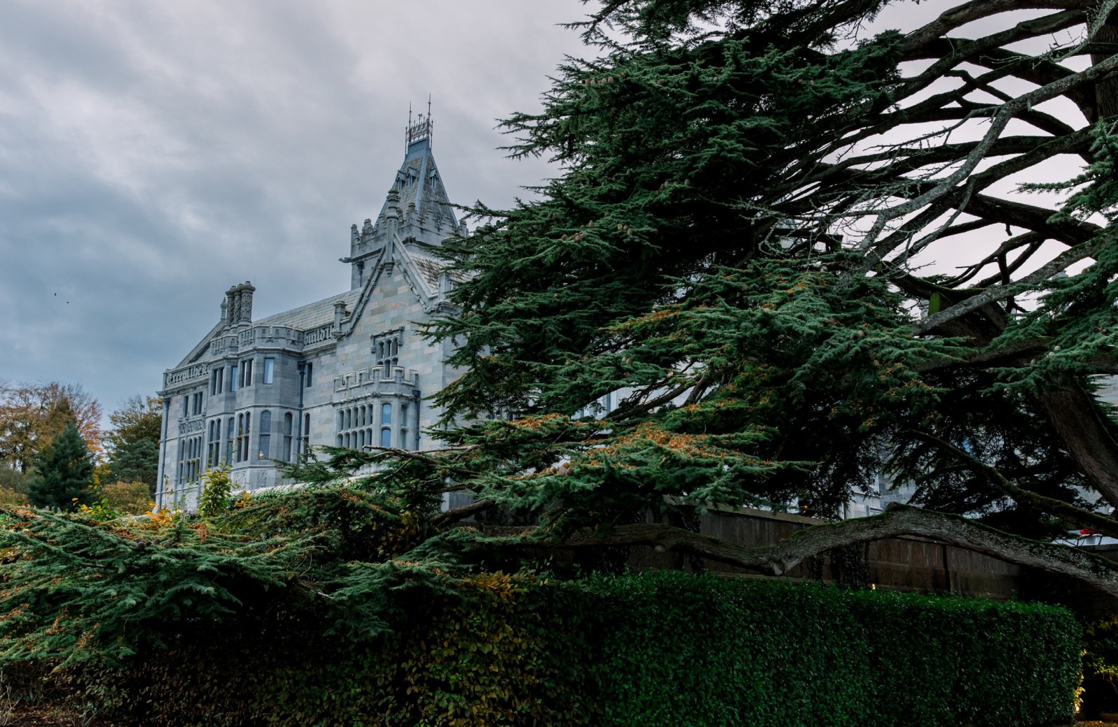 Adare Manor – A Majestic Canvas for a Romantic Irish Wedding - Wedding ...